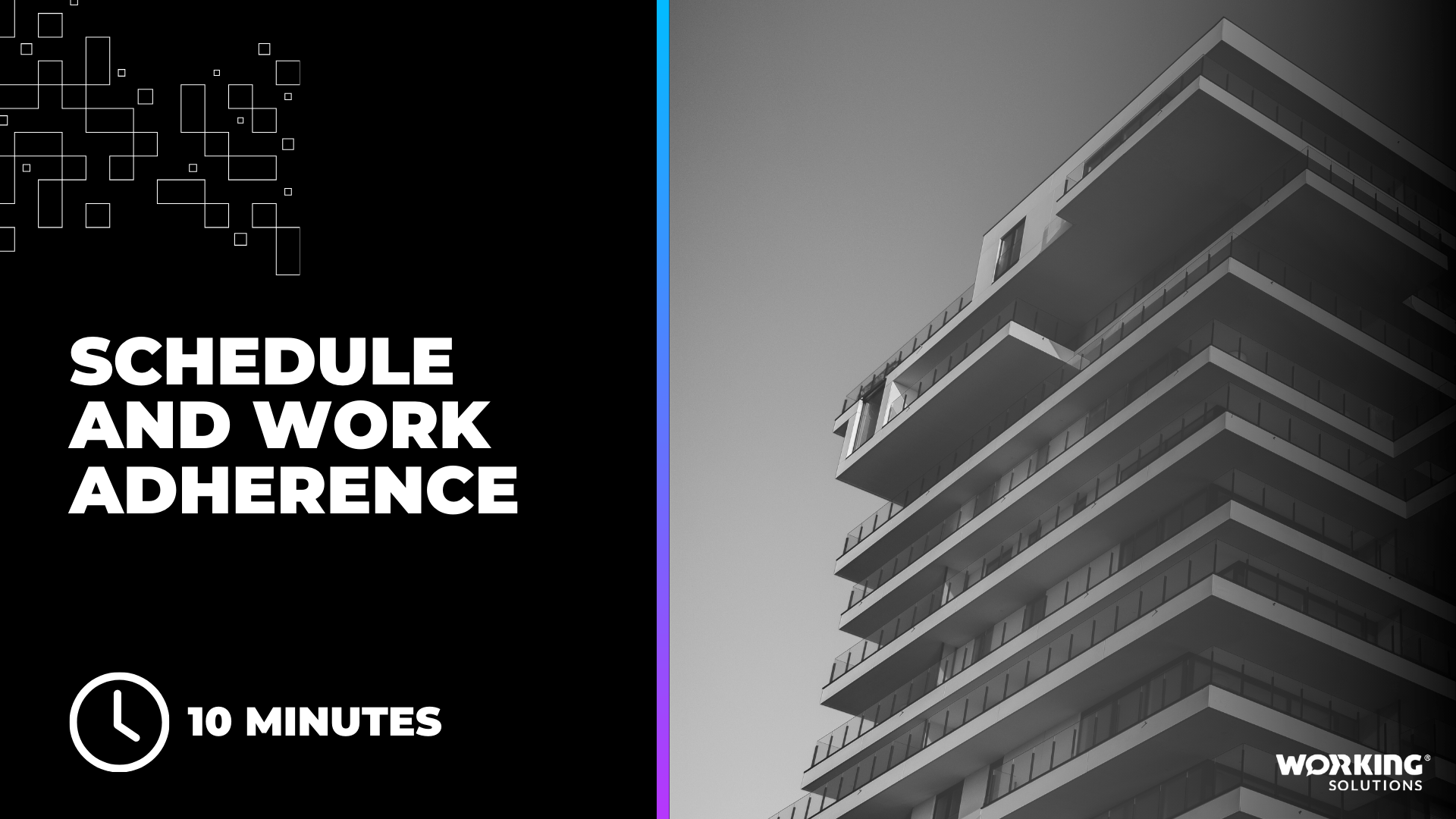 The Commons | New PROs